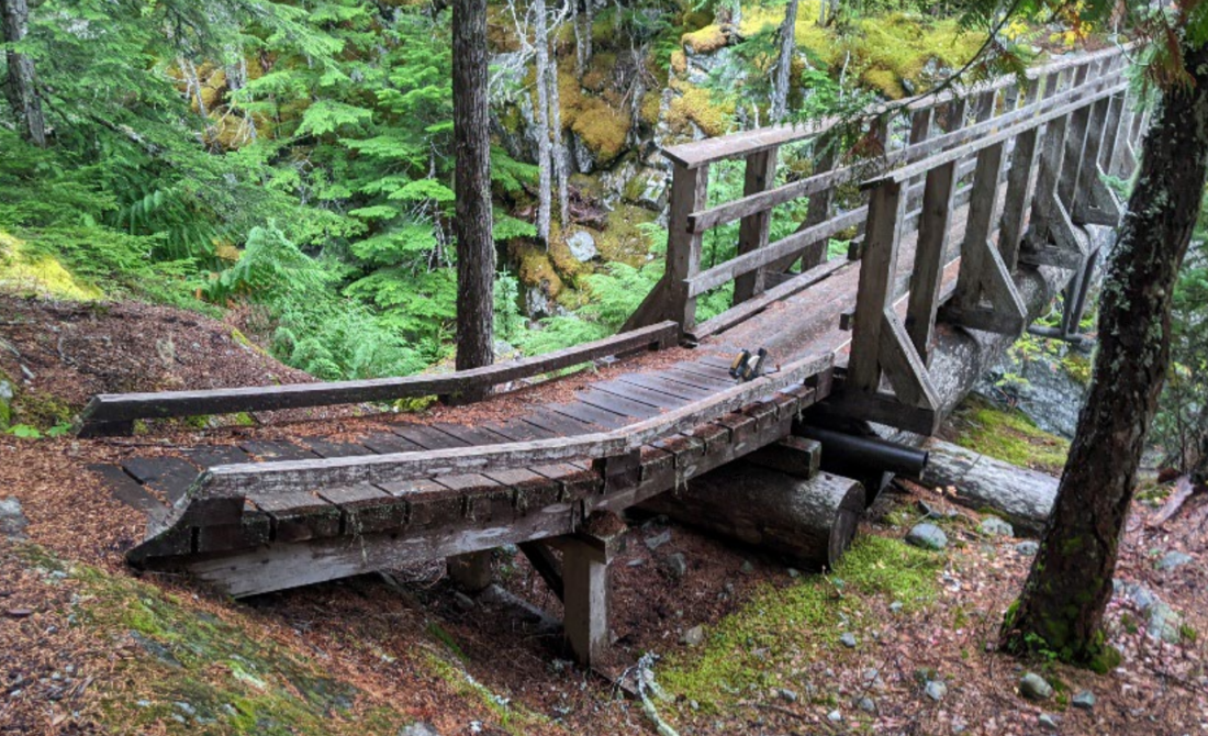 Whistler Plans to Build New Suspension Bridge Over Wedge Creek